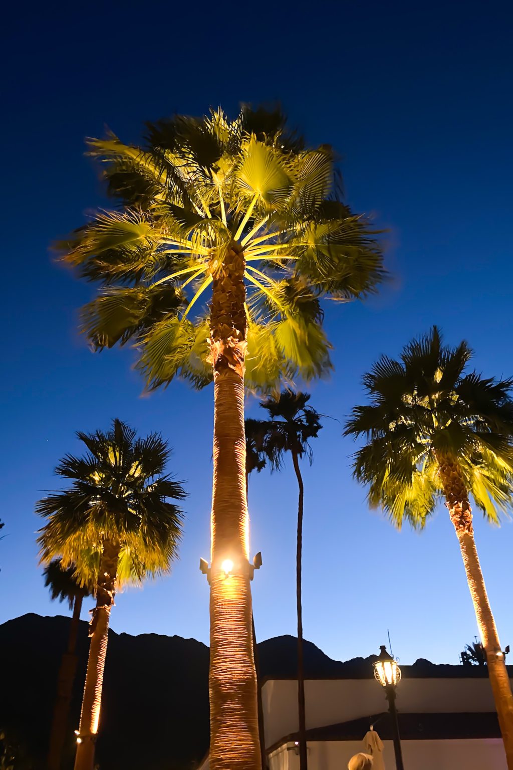 La Quinta + Palm Springs. - The Stripe by Grace Atwood