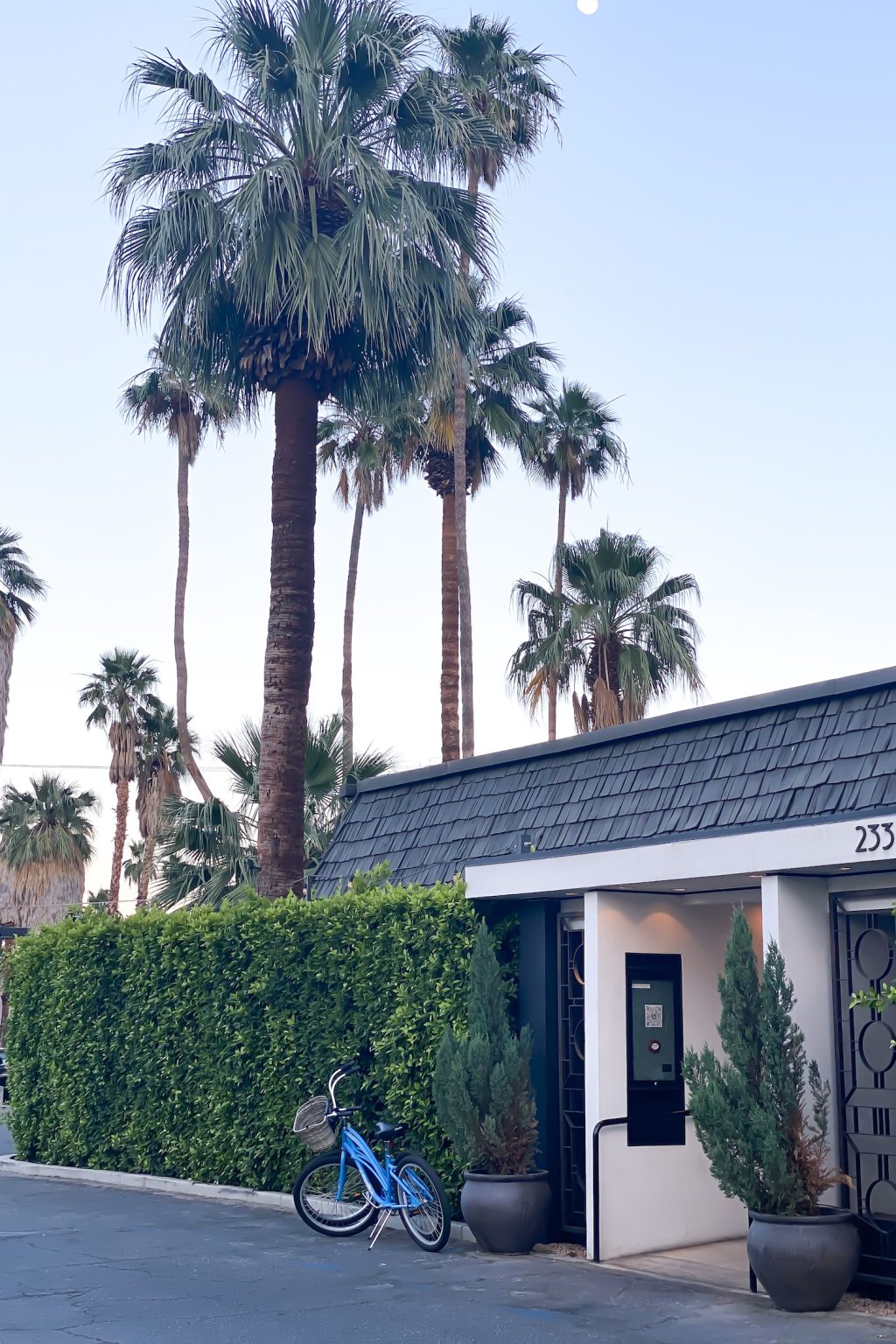La Quinta + Palm Springs. - The Stripe by Grace Atwood