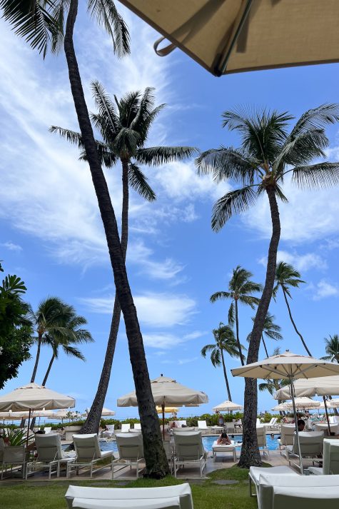 Halekulani Hotel: Waikiki Beach - The Stripe