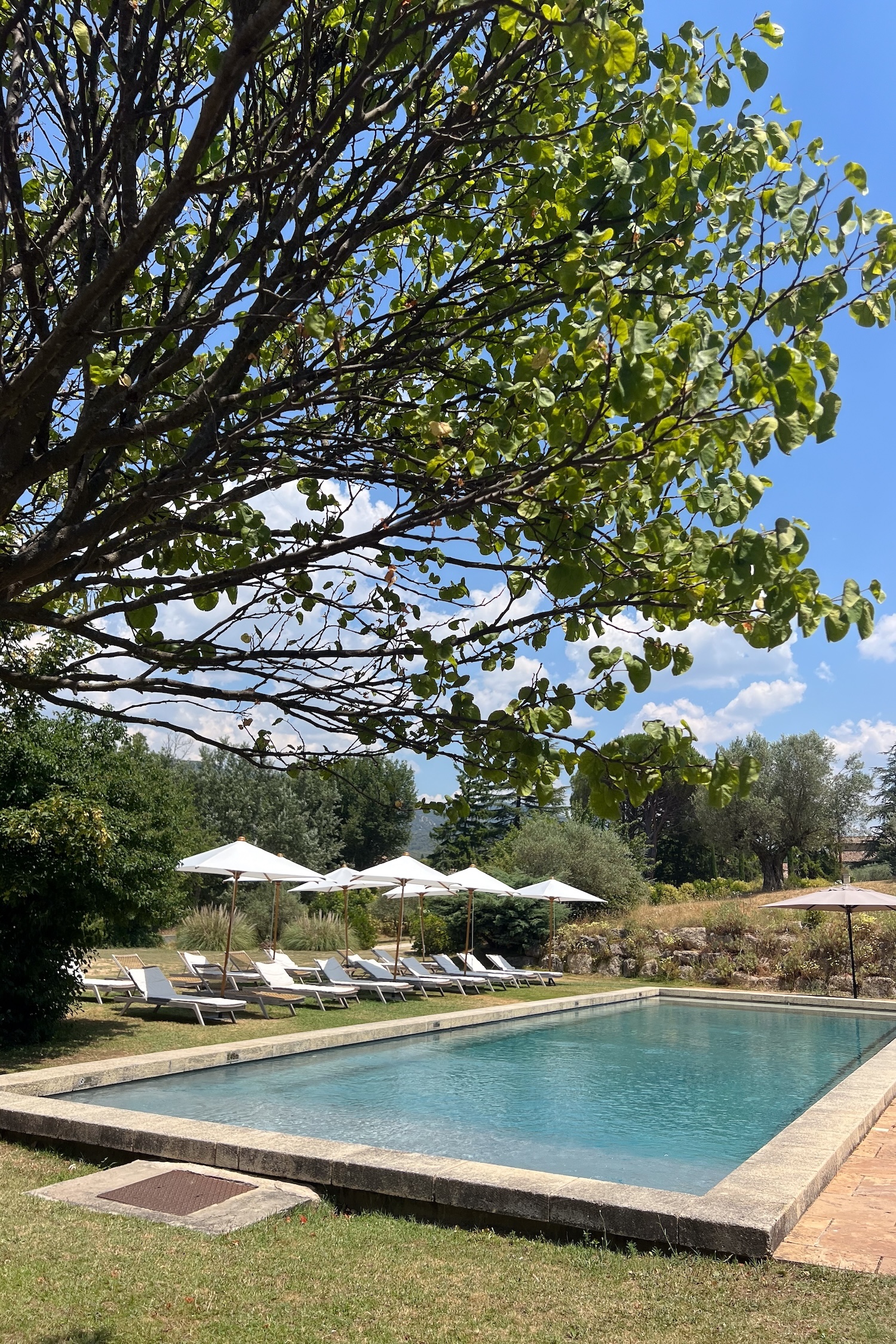 Weekend Reading 7.12.25 - The Stripe | Lifestyle Blog